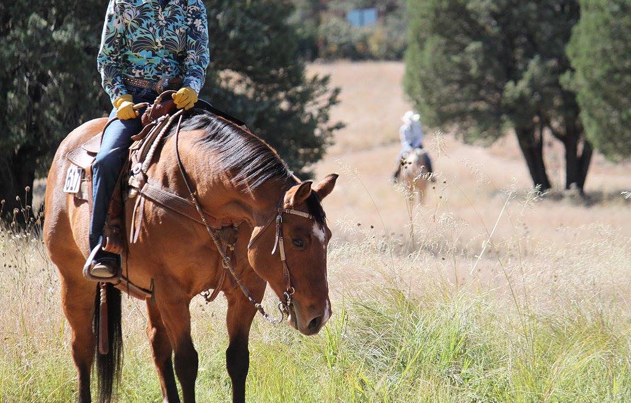 About Us | American Ranch